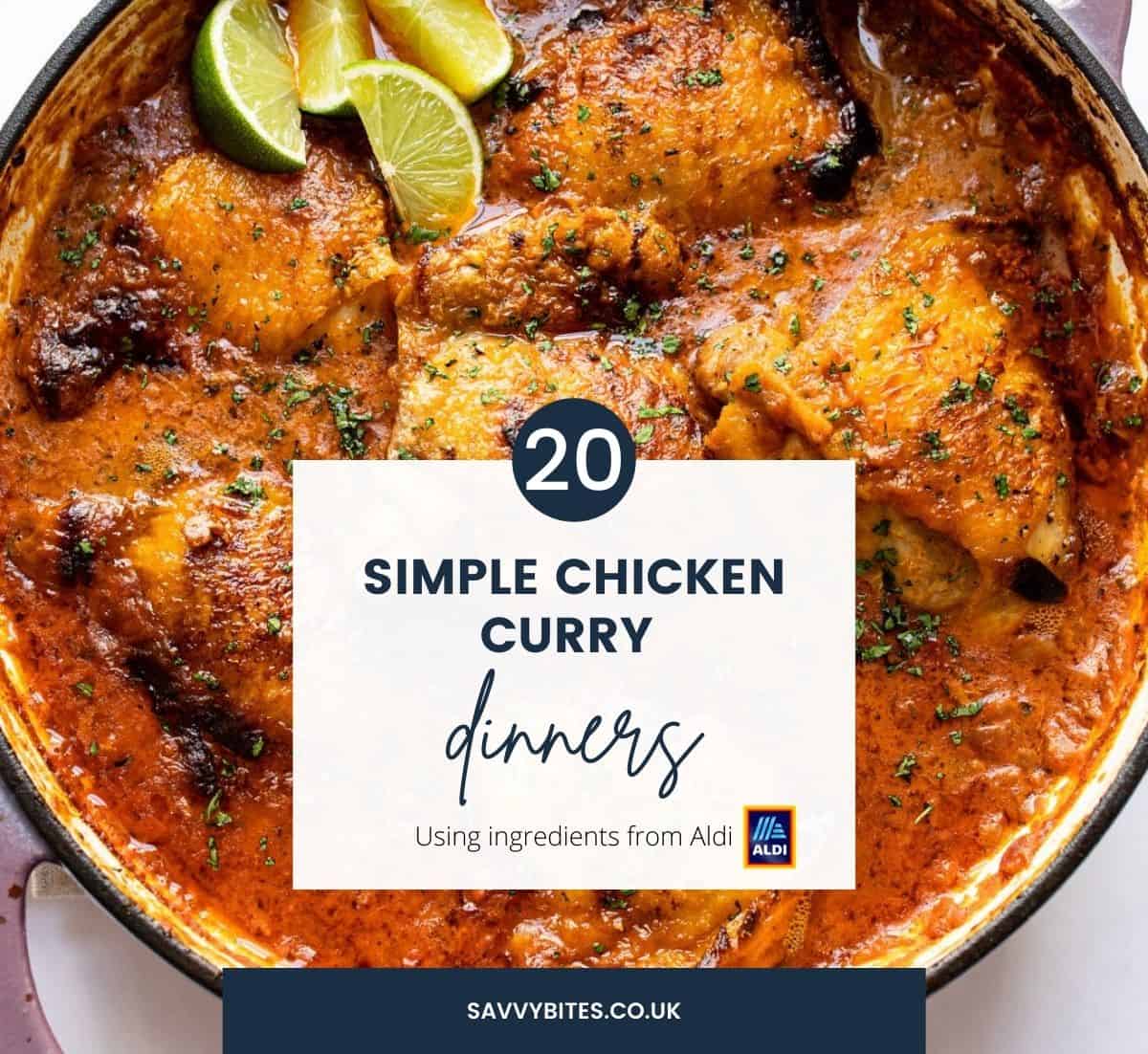 Easy Slow Cooked Indian Lamb Curry-Rogan Josh Recipe - Savvy Bites