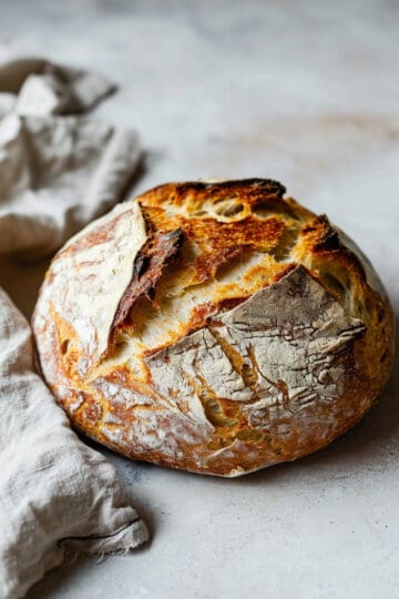 The Best & Most Basic Bread Recipe - Savvy Bites