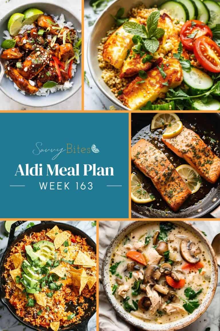 Aldi Budget Meal Plan 163 - Savvy Bites